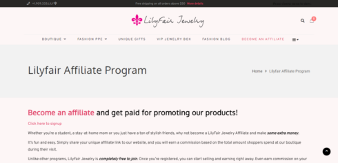 17 Best Jewelry Affiliate Program for Making Money Online | Niche Pursuits