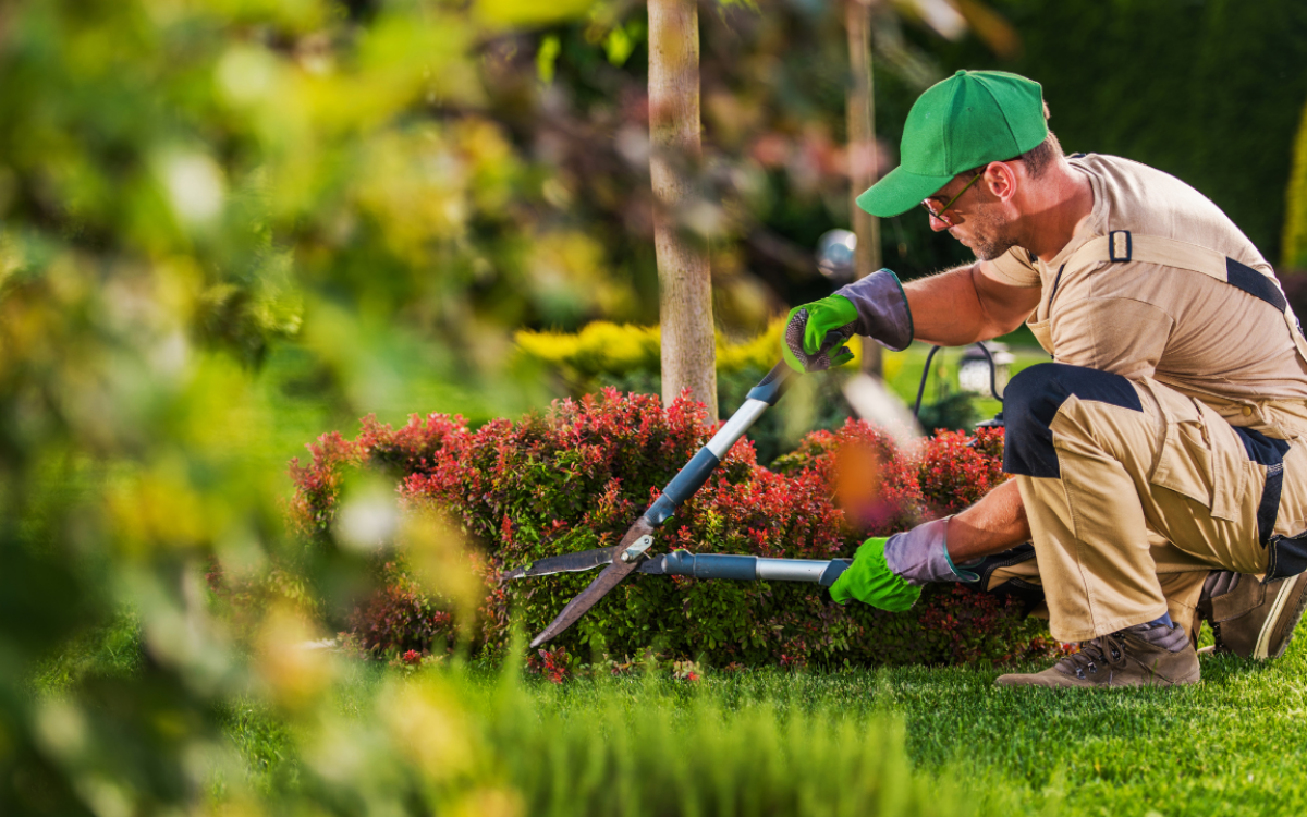 901 Catchy Nature Inspired Landscaping Business Names In 2024 901 Catchy Nature Inspired Landscaping Business Names In 2024