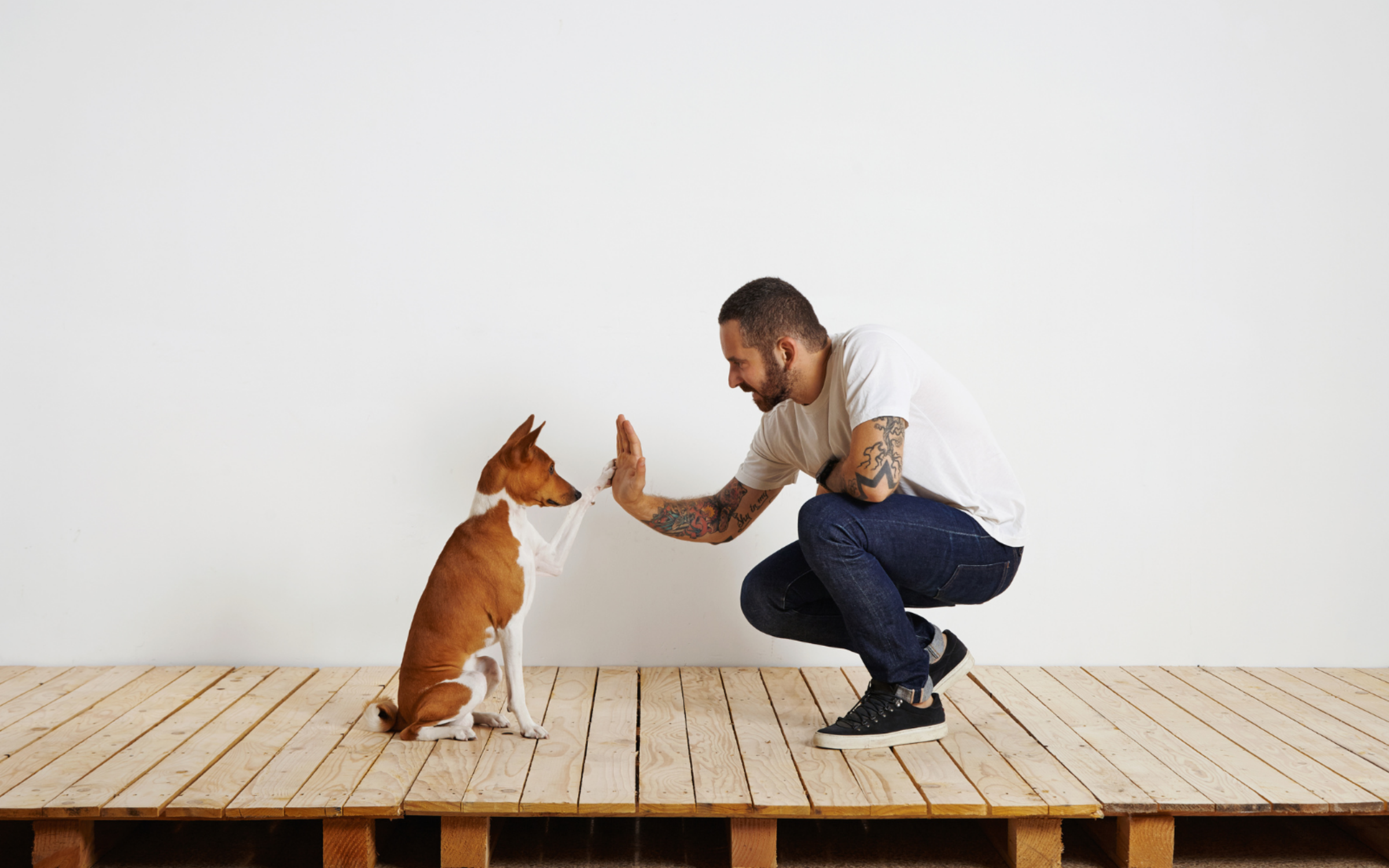 1,219 Catchy & Unique Dog Training Business Name Ideas for 2026