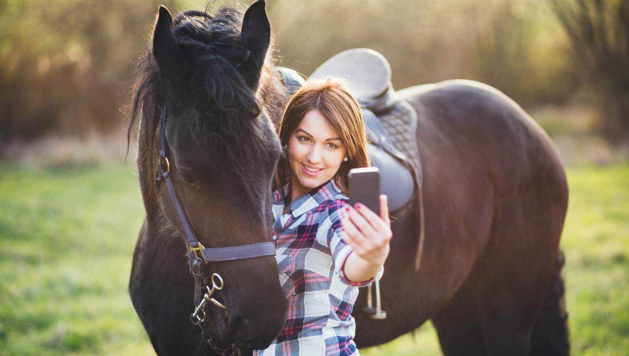 121 Horse Instagram Caption Ideas to Saddle Up for Success in 2026